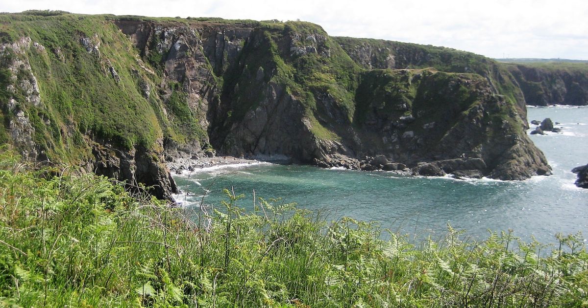 St Ishmaels coastal walk - Ramblers